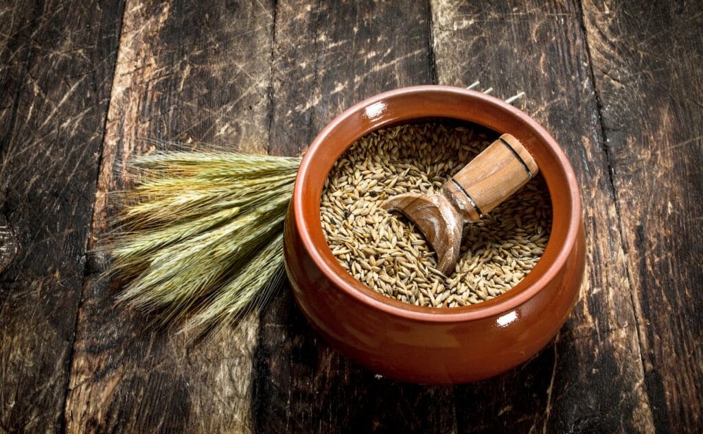 Complete Guide To Storing Wheat In Food Storage